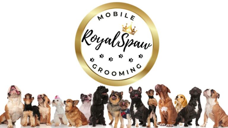 The Best Georgetown TX Mobile Dog Grooming 2024 | Royal Spaw